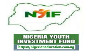 Apply For Nigeria Youth Investment Fund (NYIF) Programme - Nigerian ...
