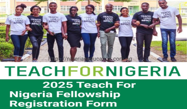 Teach Fellowship Program For Nigerians - Nigerian Education