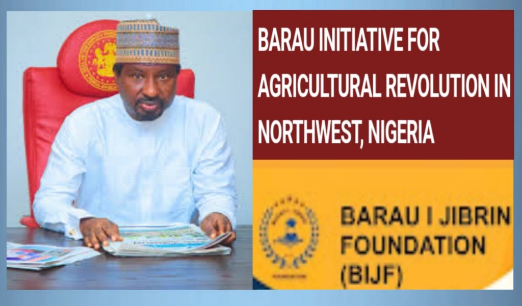 Nigerian Education - Education Is A Key Of Life