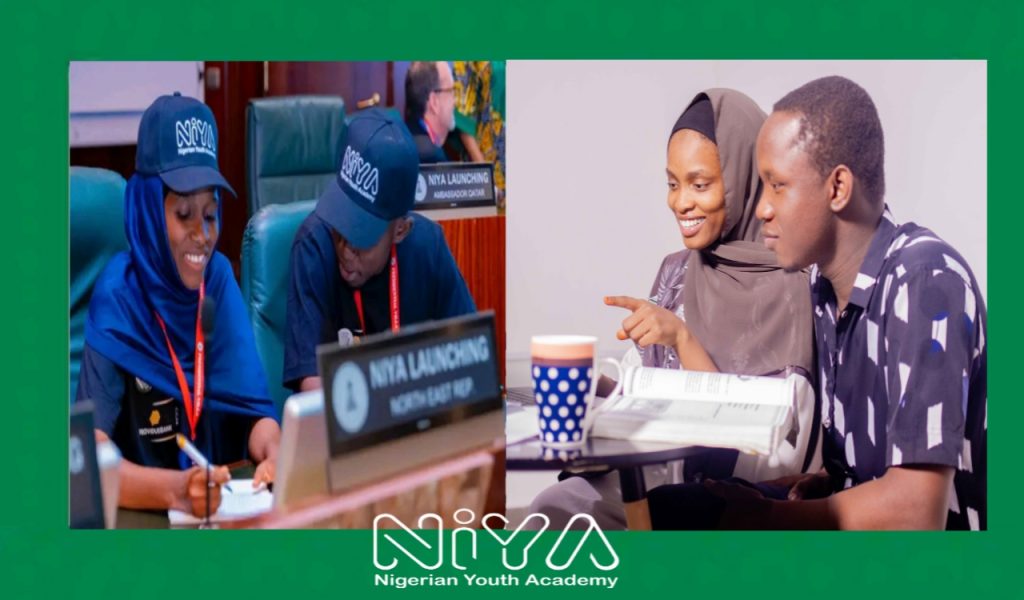 Nigerian Youth Academy (NiYA) For Nigerians - Nigerian Education