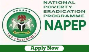 National Poverty Eradication Programme Application Portal - Nigerian ...