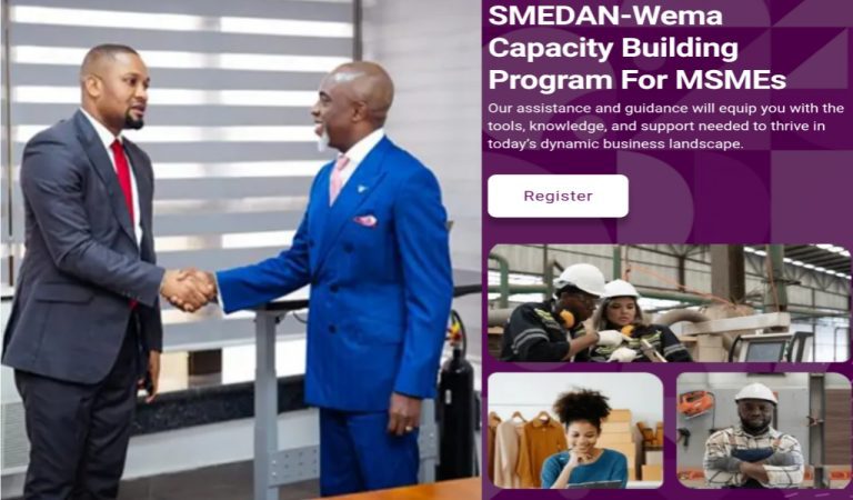 SMEDAN-Wema Capacity Building Program for Youths and MSMEs - Nigerian Education